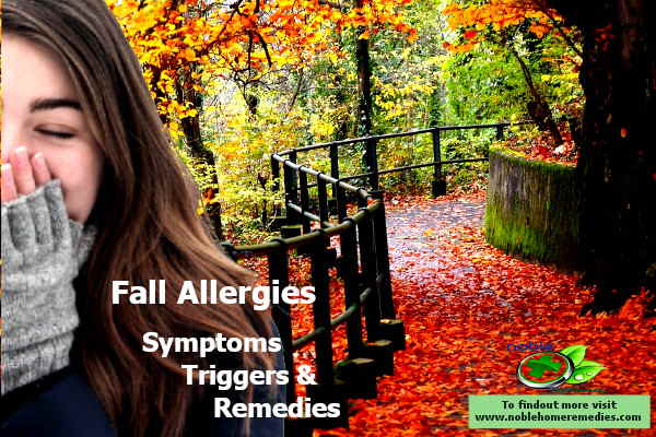 Fall Allergies: Symptoms, Triggers, and Reliable Remedies