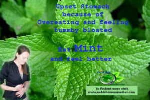 What To Eat With An Upset Stomach? Noble Home Remedies
