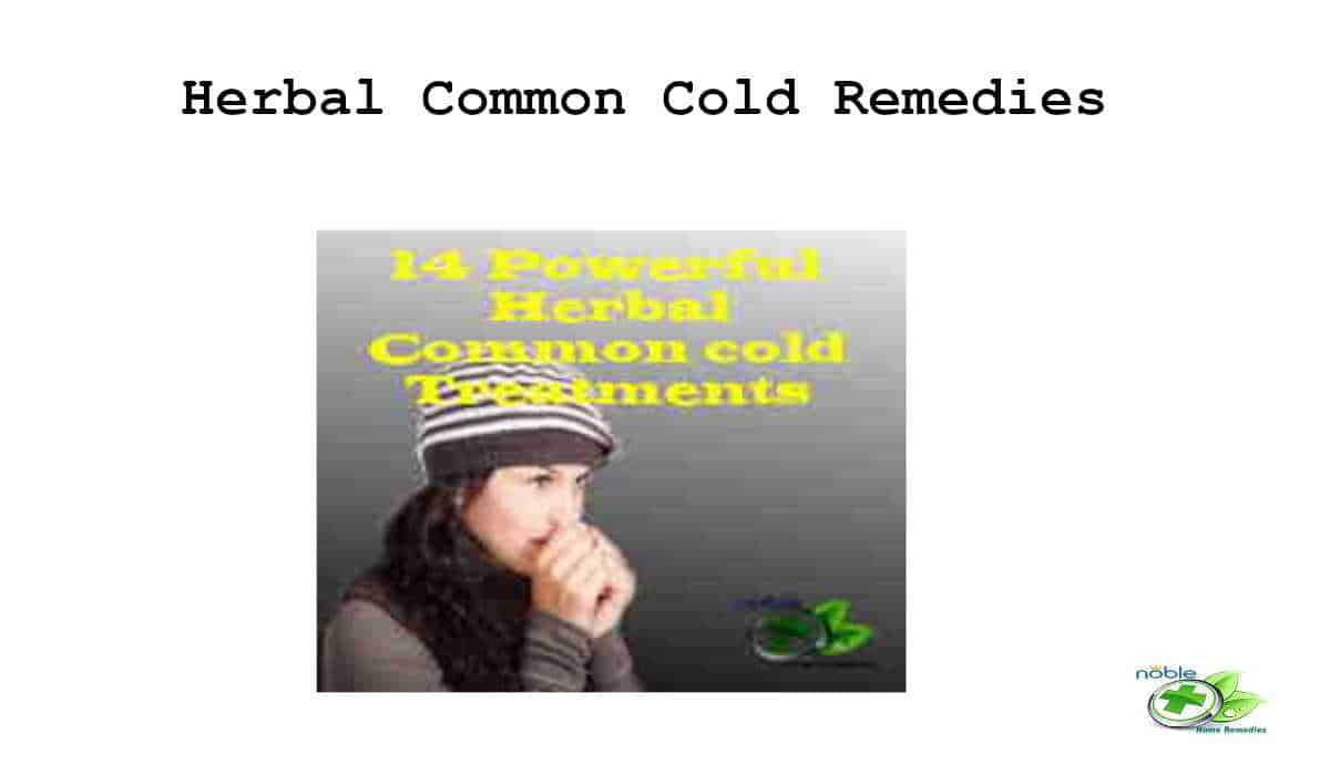 Herbal Common Cold Treatment-14 Remedies