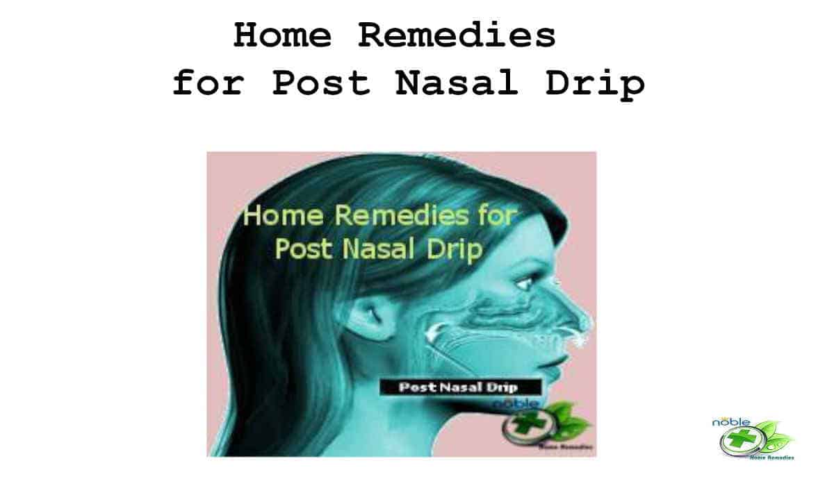 9 Best Home Remedies For Post Nasal Drip